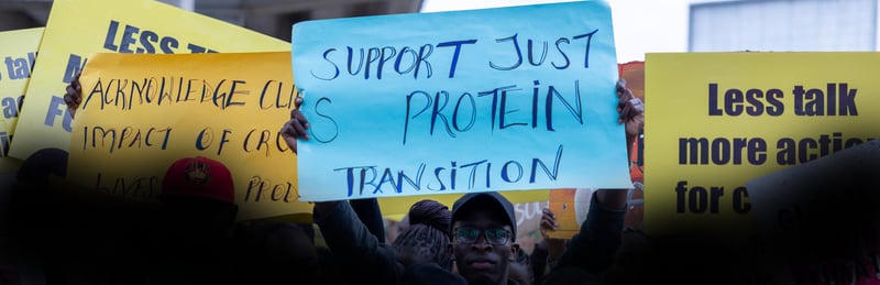 Embracing a Just Protein Transition: A Path to Sustainable and ...