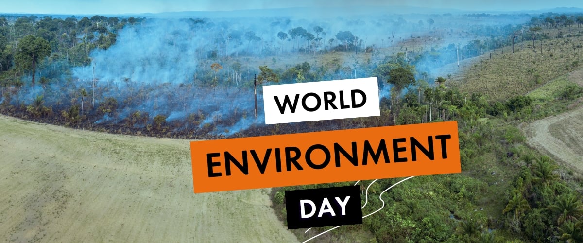 World Environment Day: Factory Farming’s True Cost